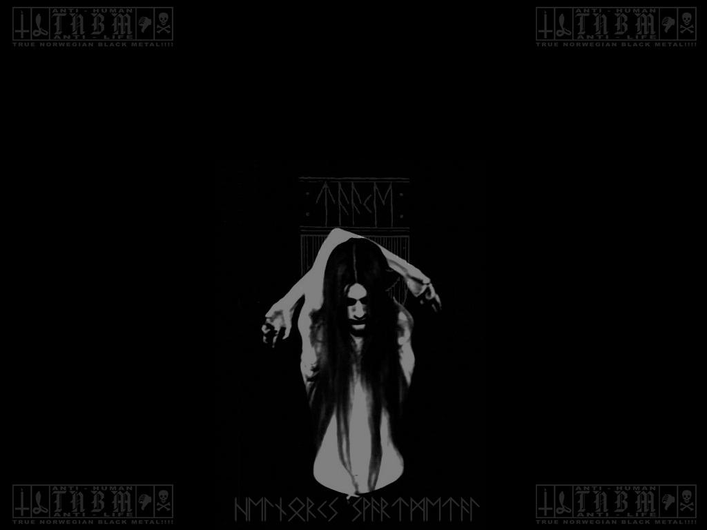 Taake Wallpapers - Wallpaper Cave