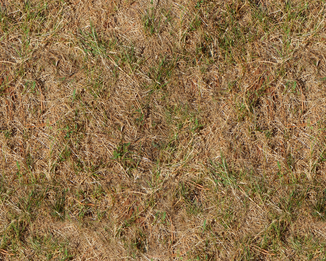 Dry Grass Wallpapers - Wallpaper Cave