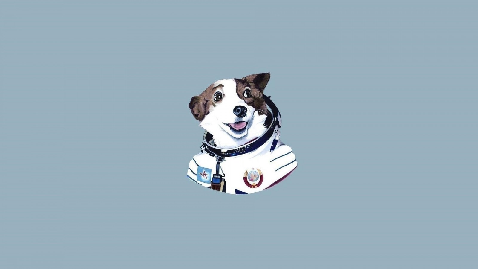 Minimalist Dog Wallpapers - Wallpaper Cave