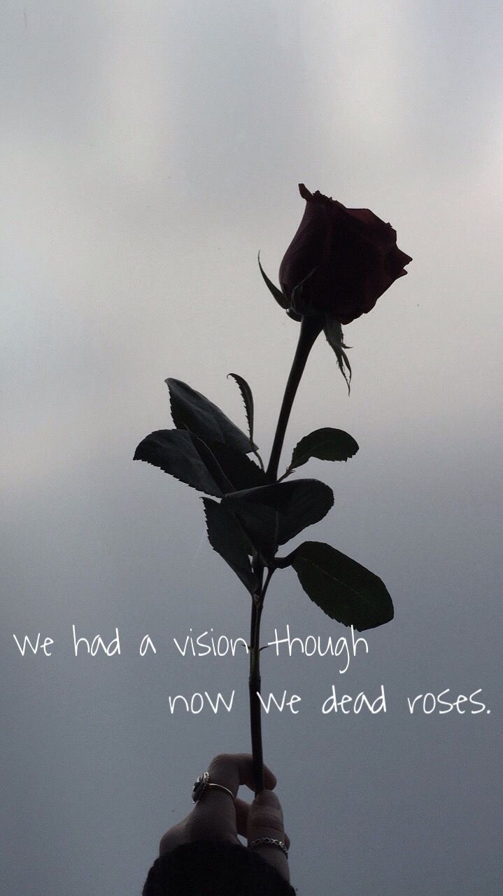 Dead Flower Wallpapers - Wallpaper Cave