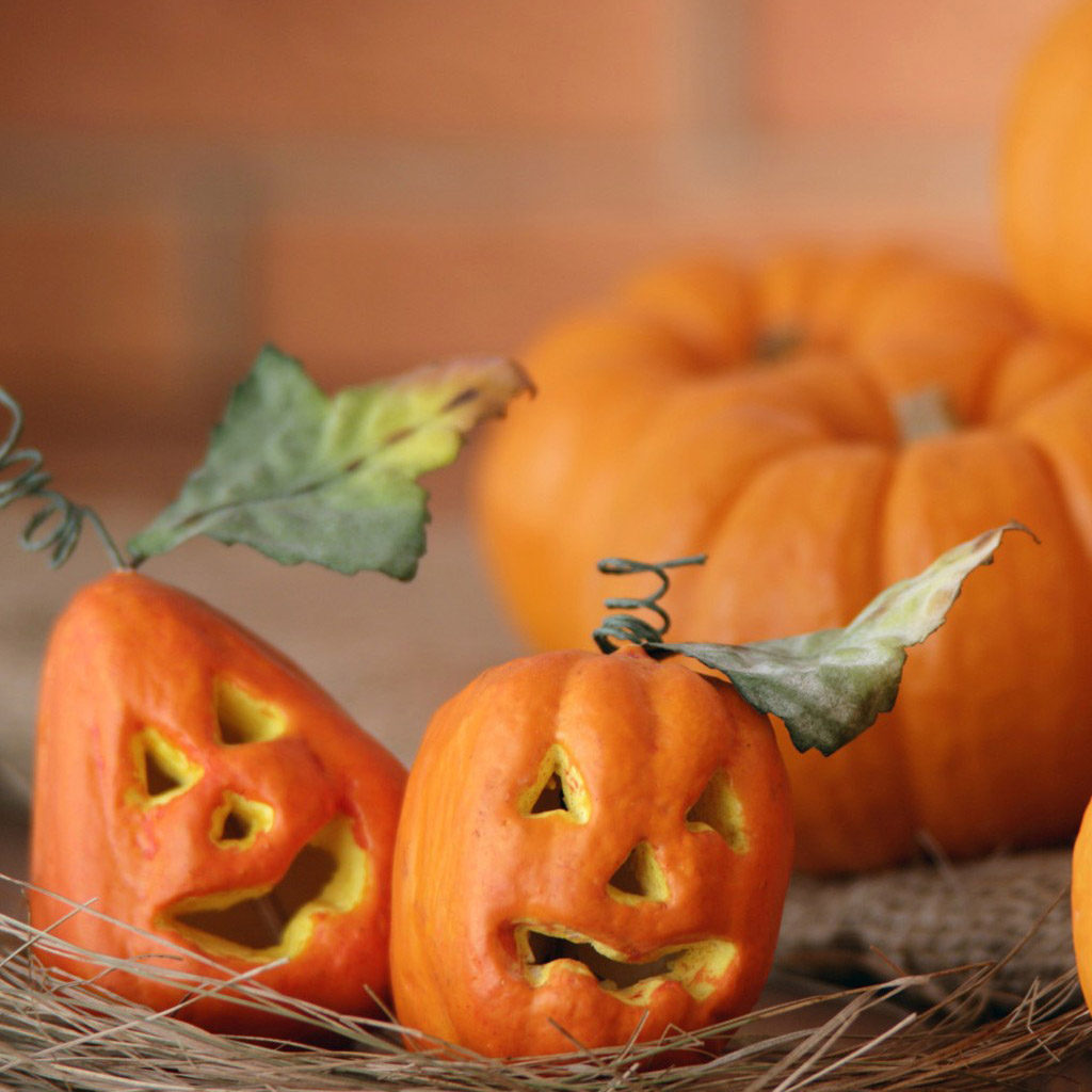 Halloween Small Pumpkin Wallpapers - Wallpaper Cave