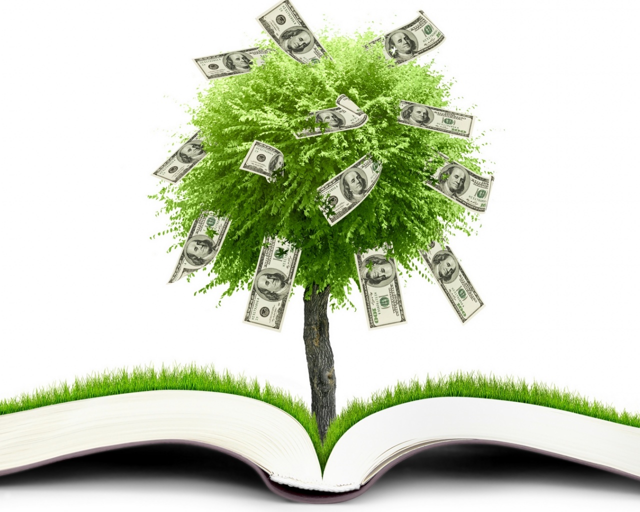 Money Tree Wallpapers - Wallpaper Cave