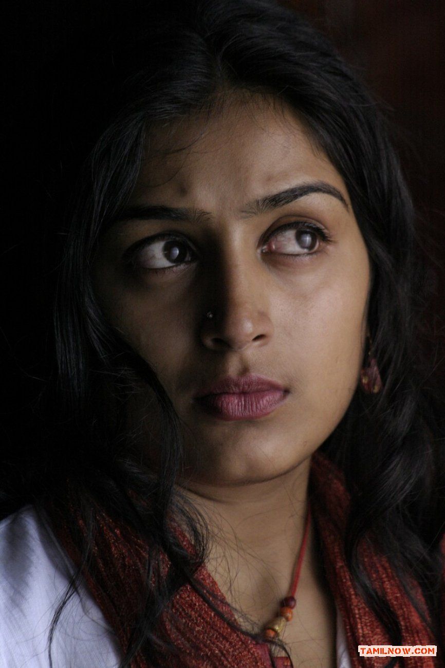 Padmapriya Wallpapers - Wallpaper Cave