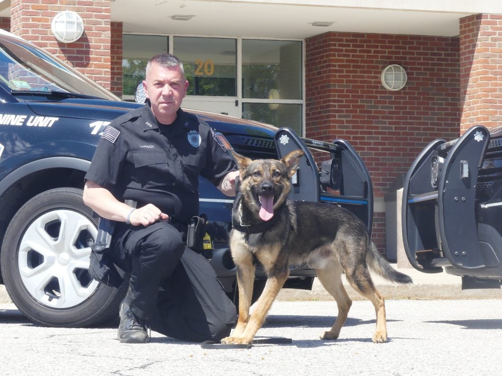 Cop Dogs Wallpapers - Wallpaper Cave