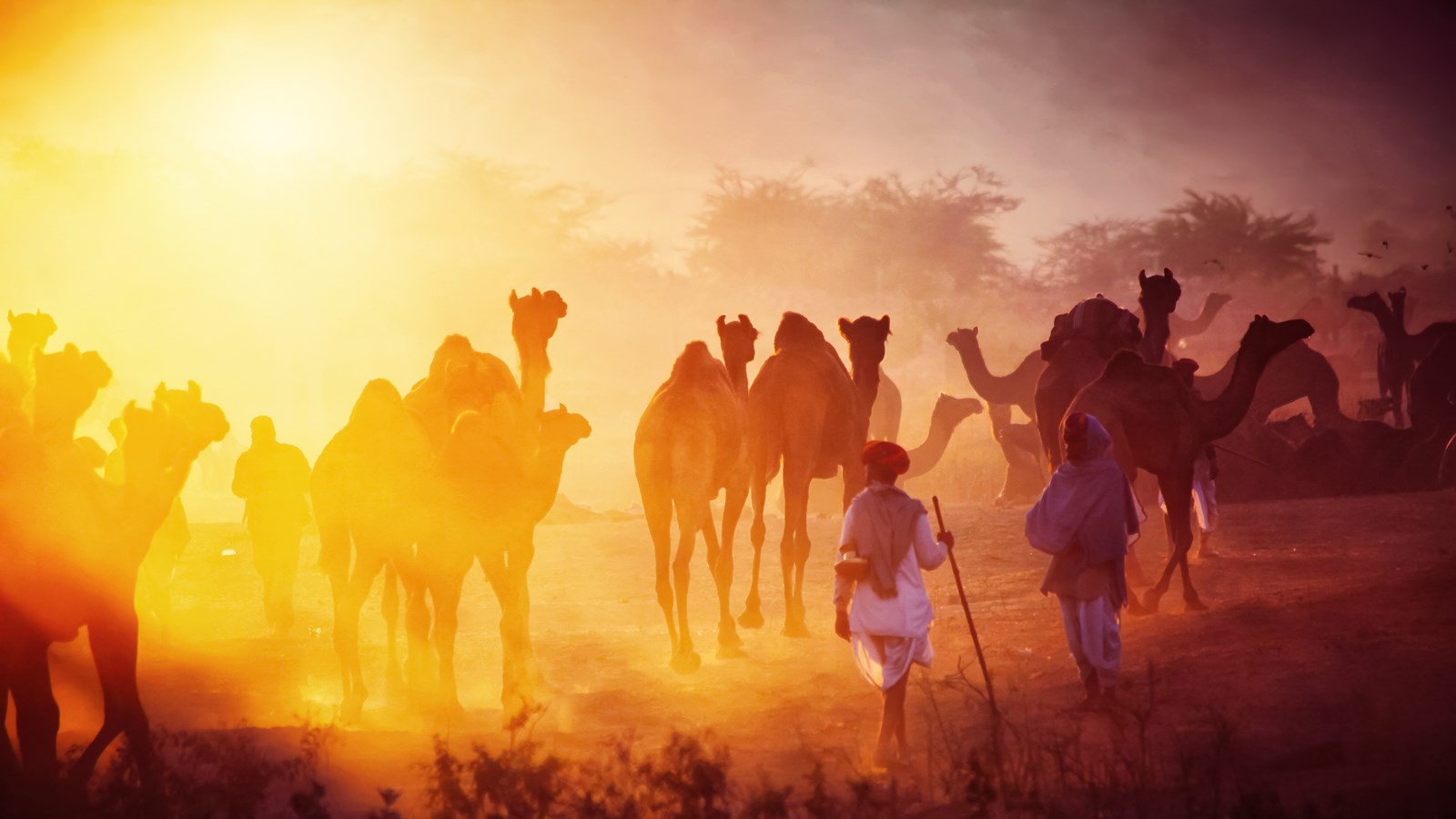 Pushkar Wallpapers - Wallpaper Cave