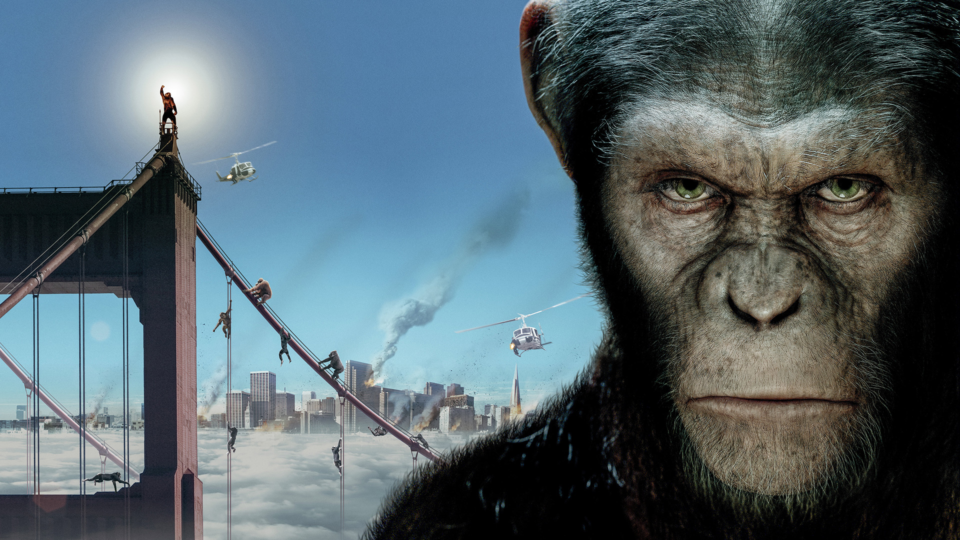 Planet Of The Apes Computer Wallpapers - Wallpaper Cave