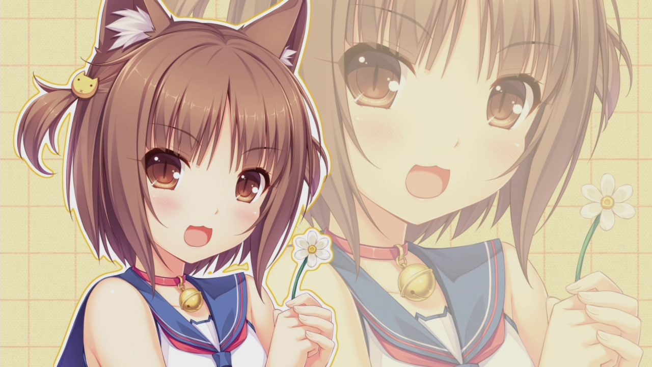 Azuki Nekopara Wallpapers - Wallpaper Cave