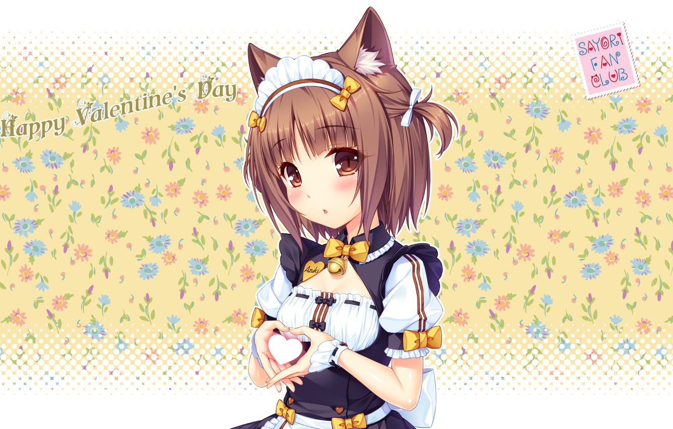 Azuki Nekopara Wallpapers - Wallpaper Cave