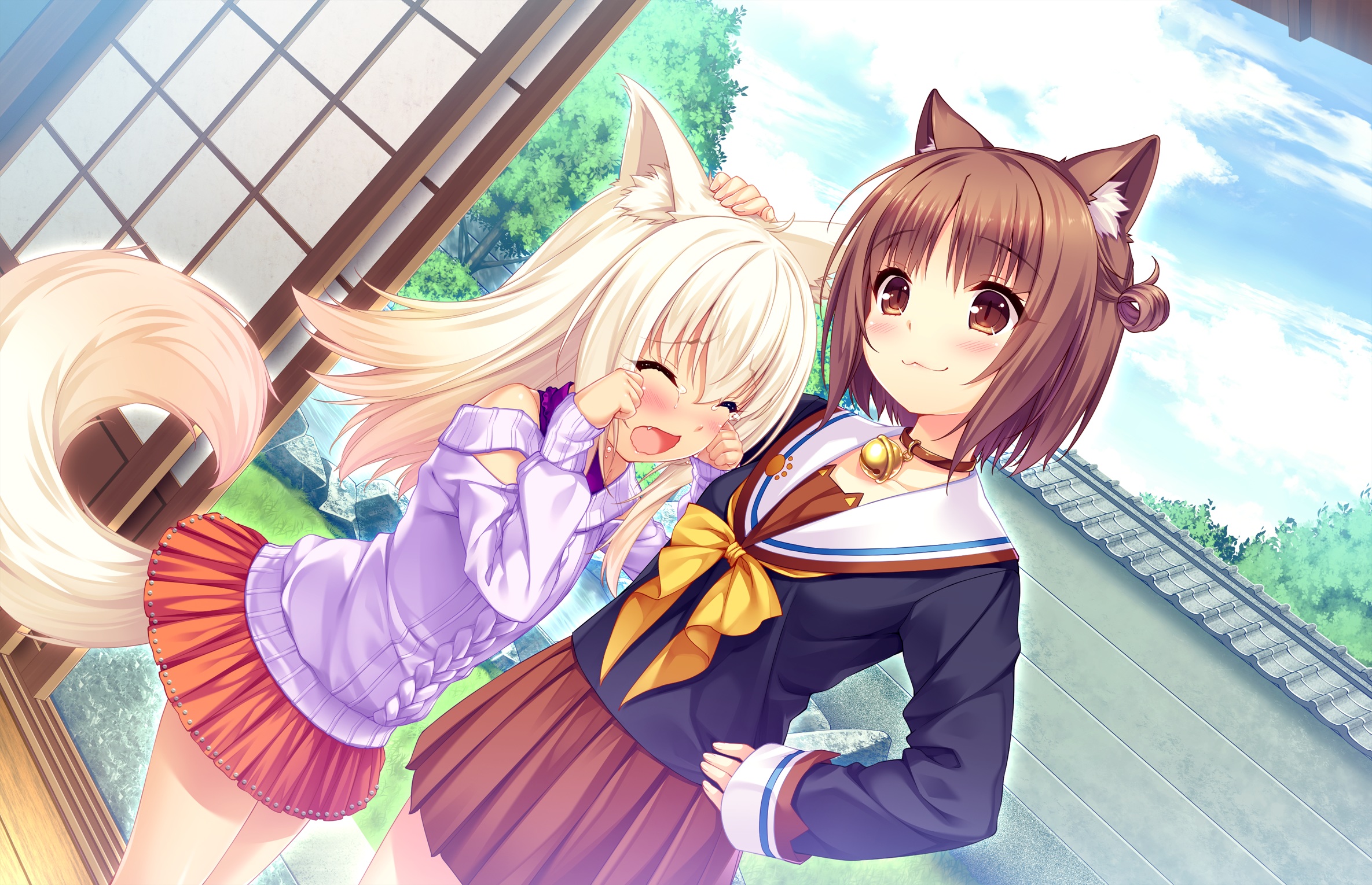 Azuki Nekopara Wallpapers - Wallpaper Cave
