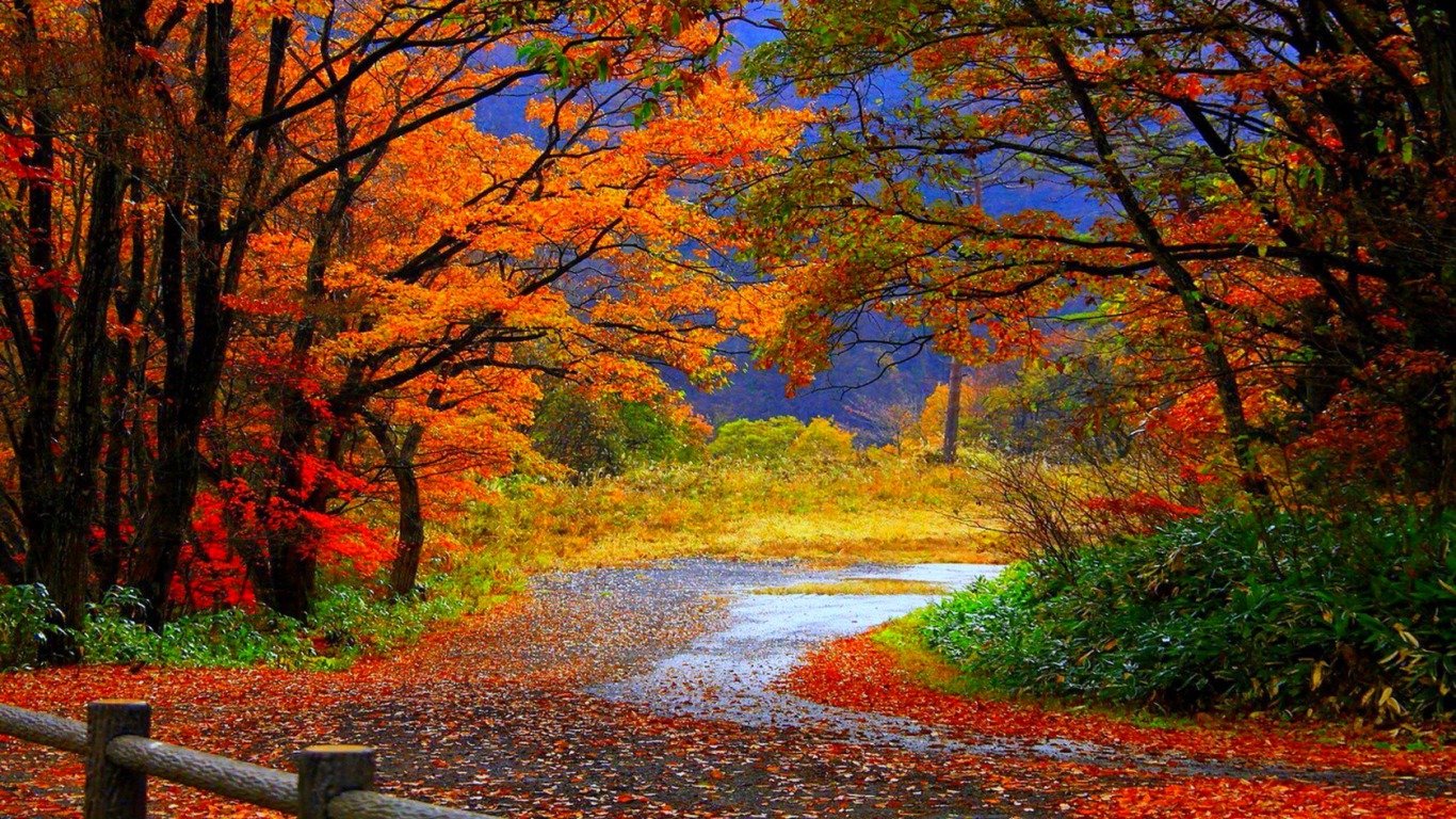 Autumn Paths Wallpapers - Wallpaper Cave