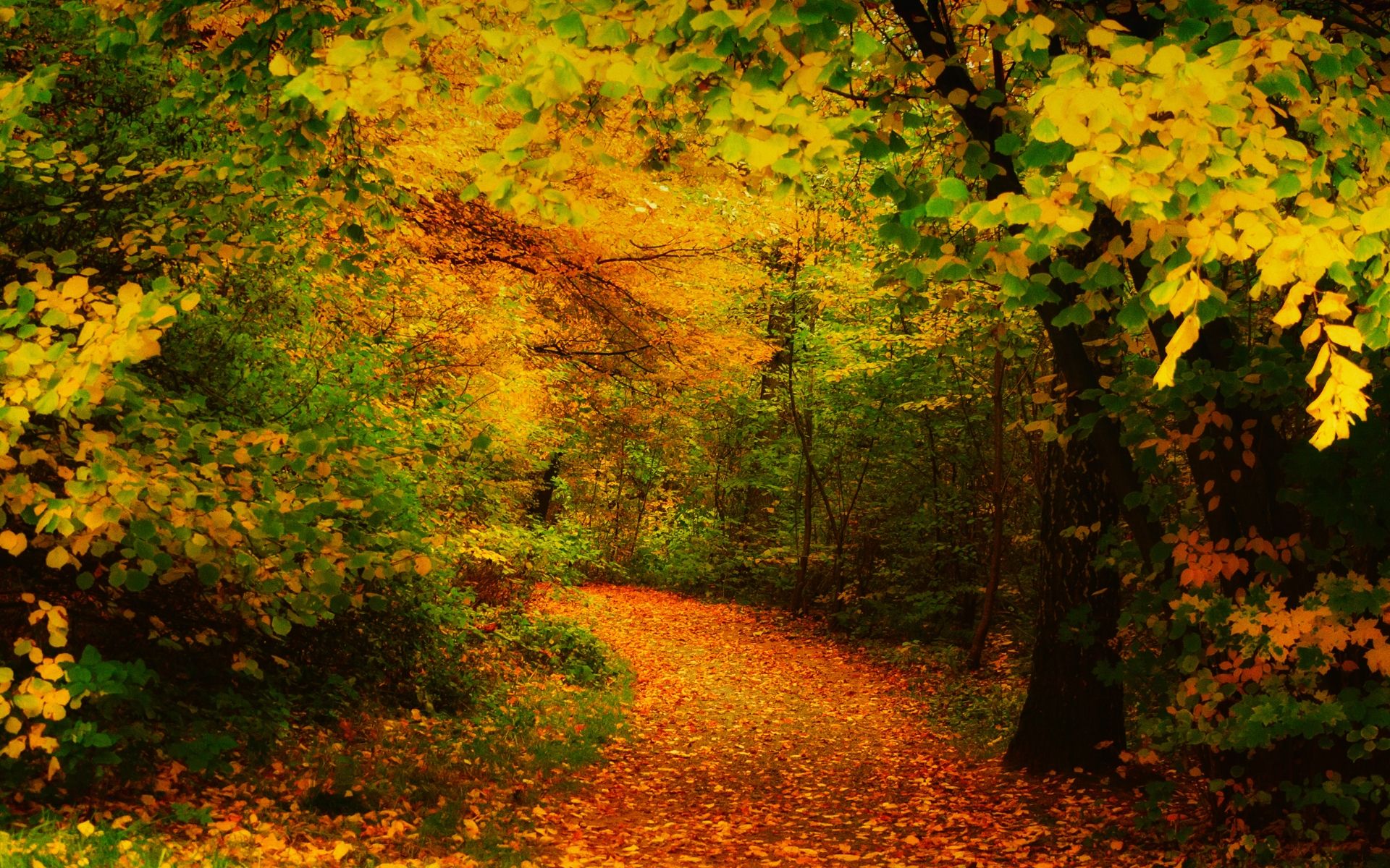 Autumn Paths Wallpapers - Wallpaper Cave