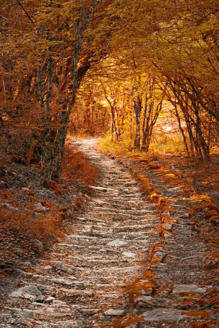 Autumn Paths Wallpapers - Wallpaper Cave