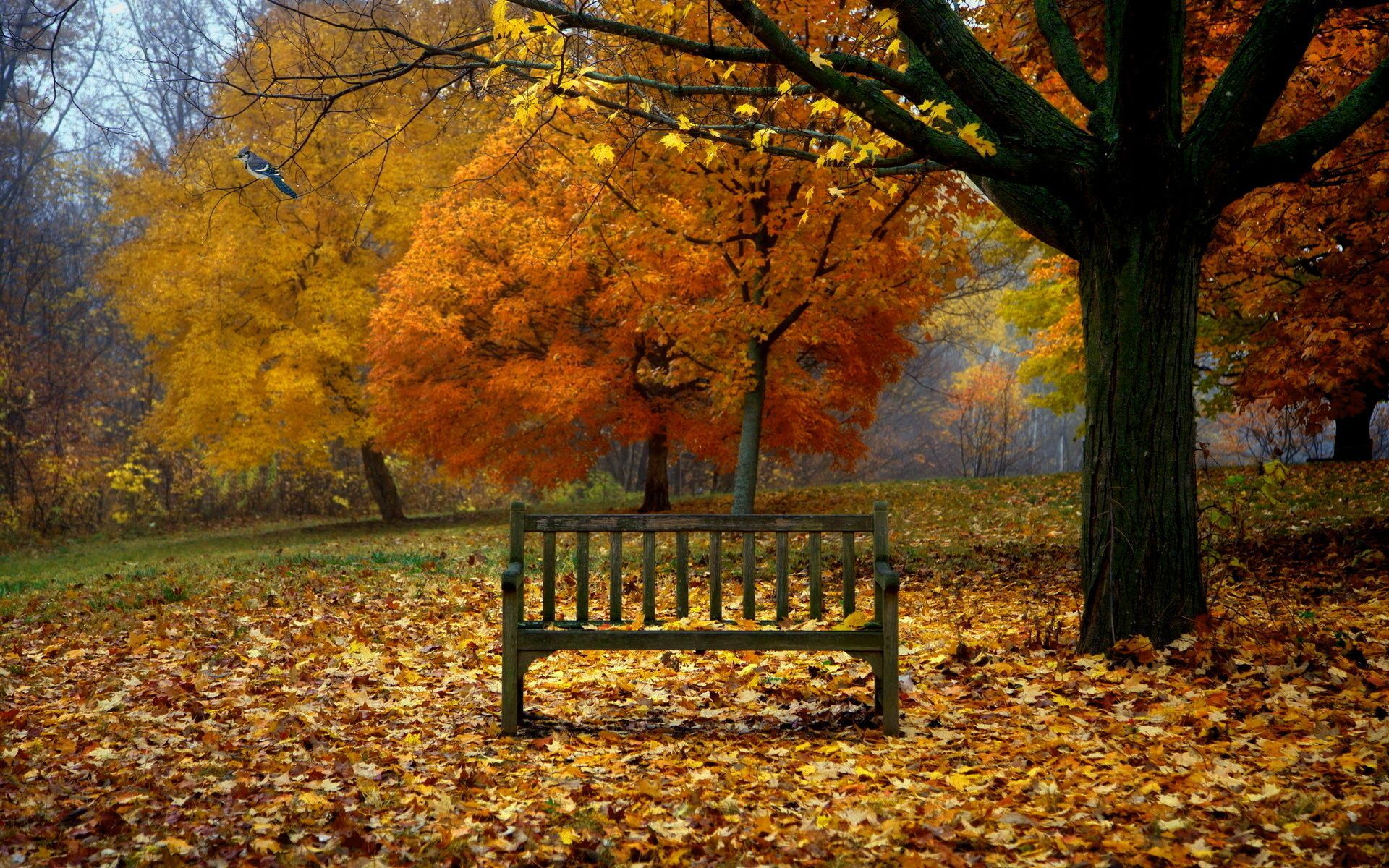 Autumn Scenes Art Wallpapers - Wallpaper Cave