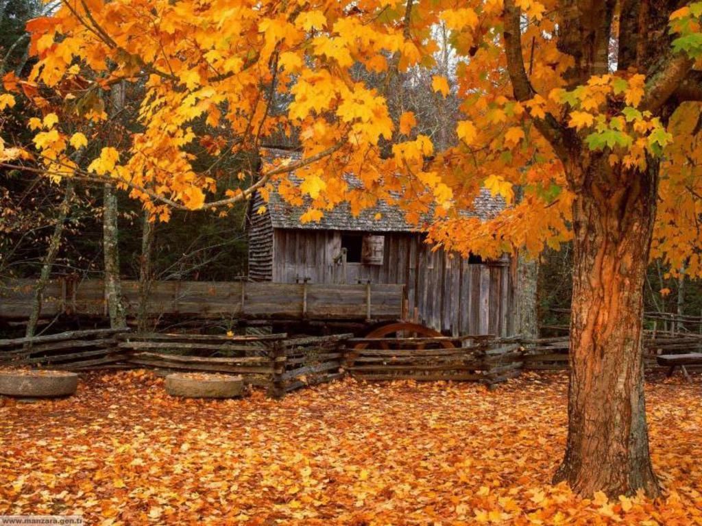 Autumn Scenes Art Wallpapers - Wallpaper Cave