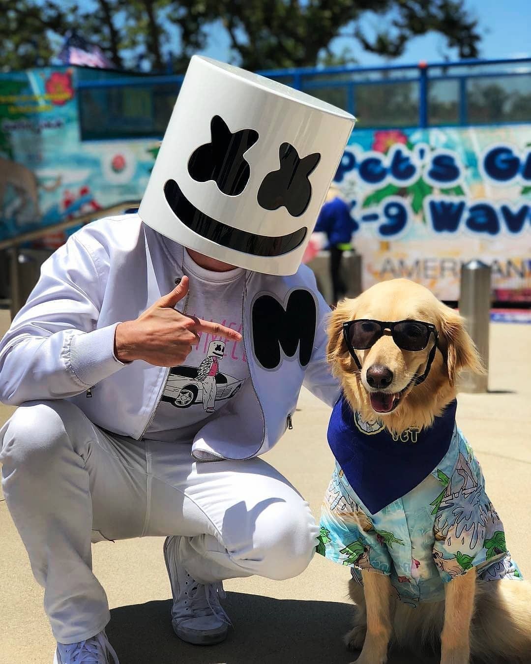 DJ Dog Wallpapers - Wallpaper Cave