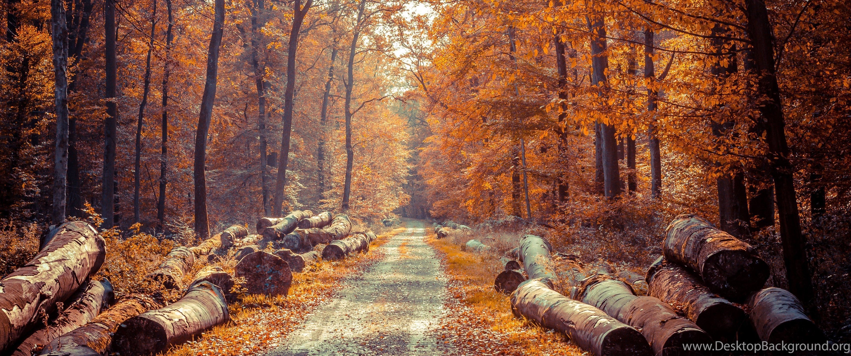 Ultrawide Autumn Wallpapers - Wallpaper Cave