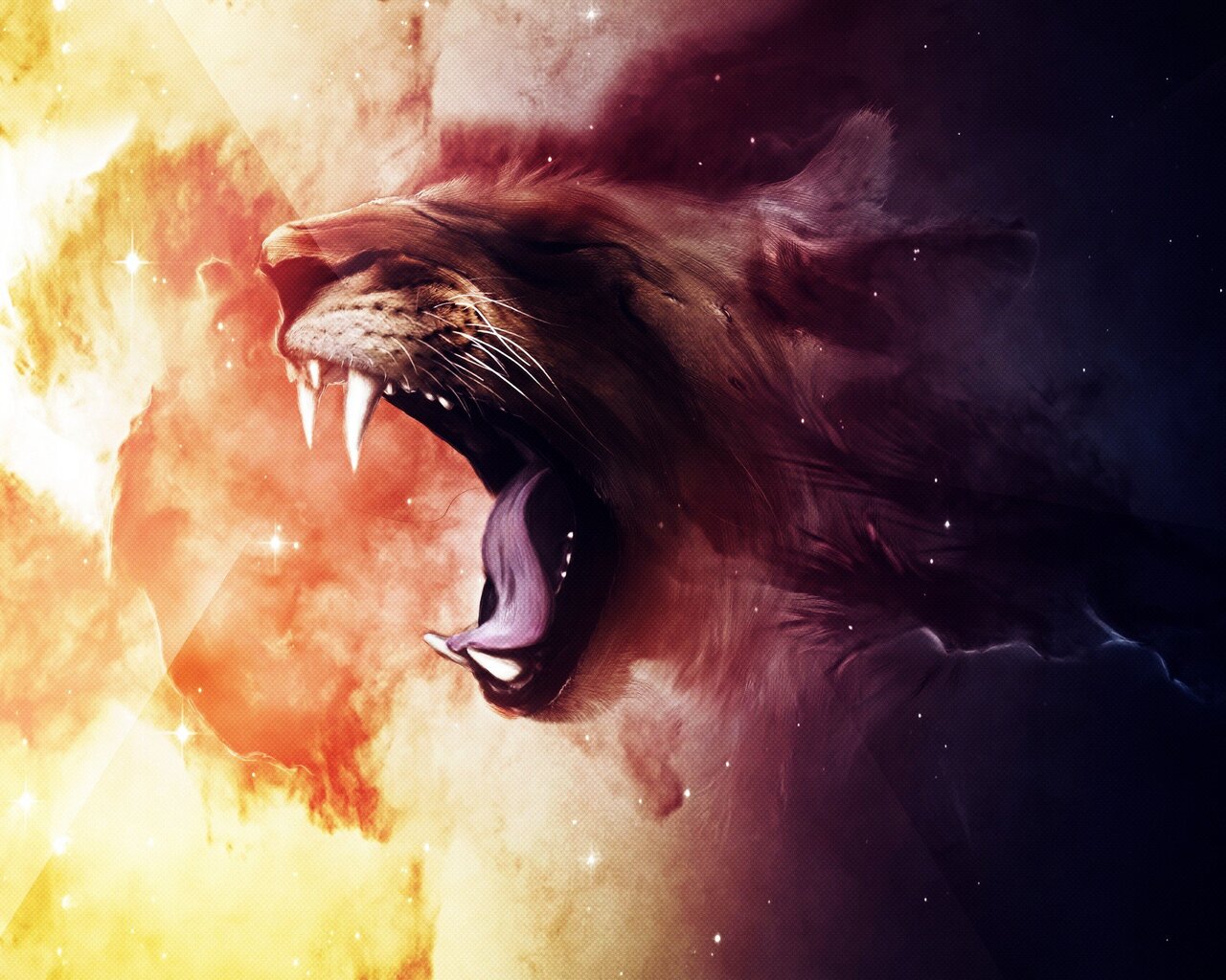 Fierce Lions Wallpapers - Wallpaper Cave