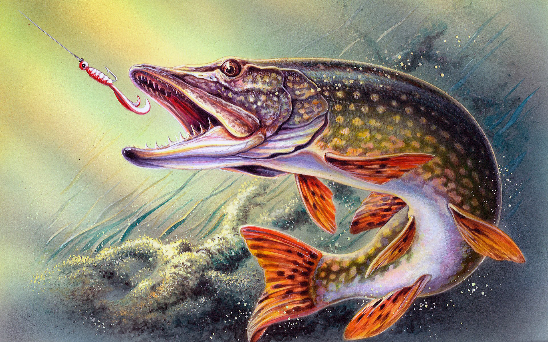 Predator Fish Wallpapers - Wallpaper Cave