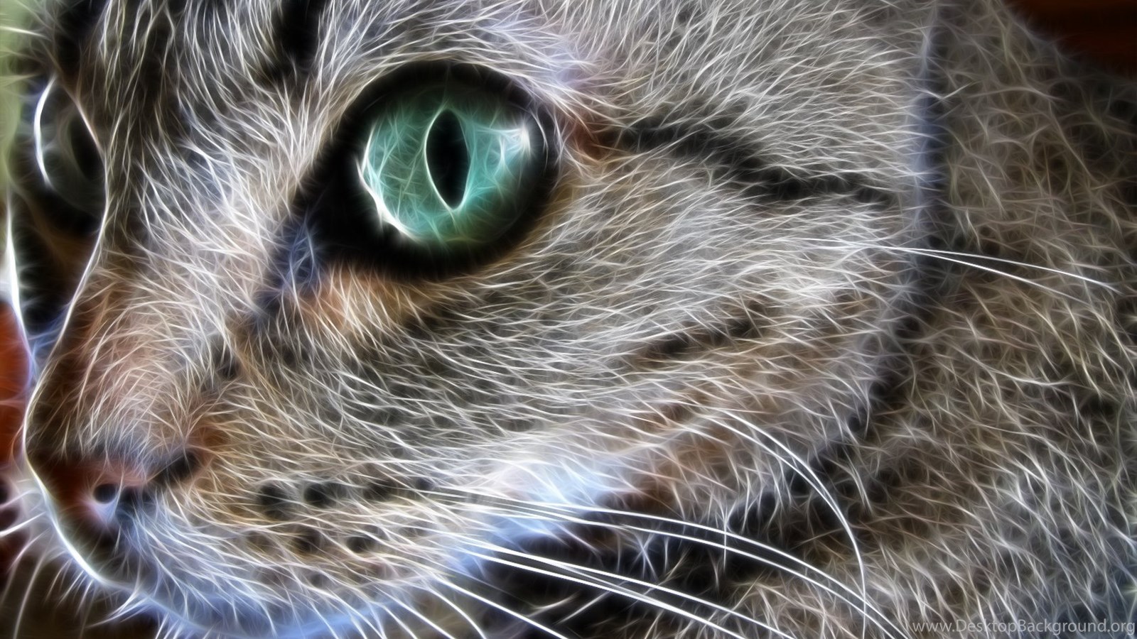 Feline Wallpapers - Wallpaper Cave