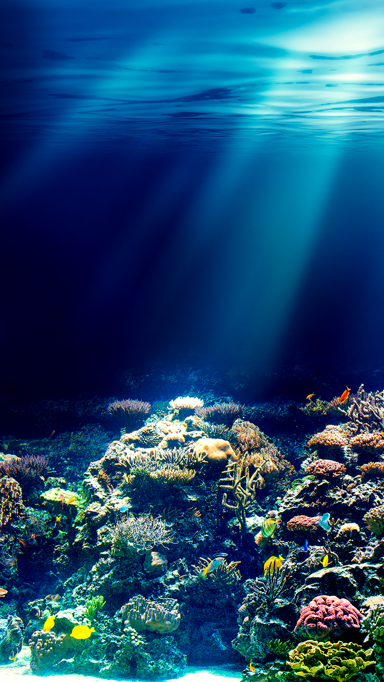 Salt Water Wallpapers - Wallpaper Cave