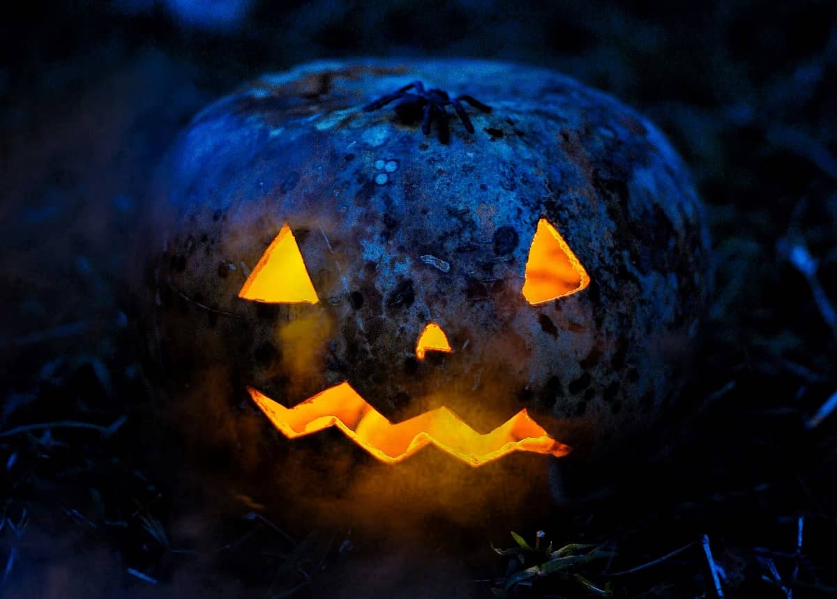 Halloween Memes Wallpapers - Wallpaper Cave