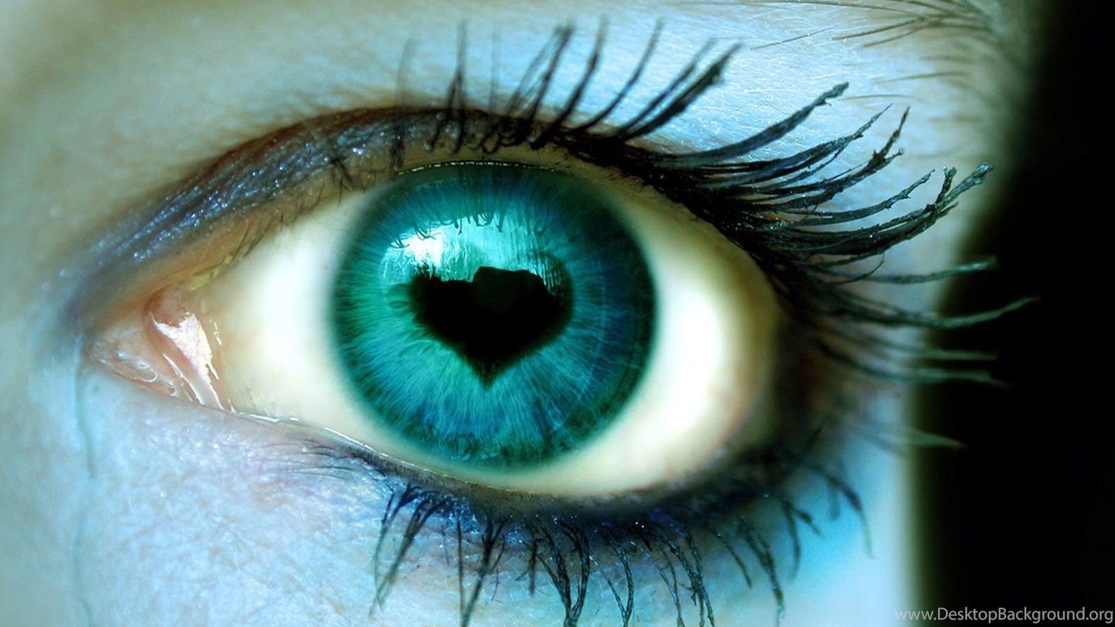 Love Eyes Wallpapers - Wallpaper Cave