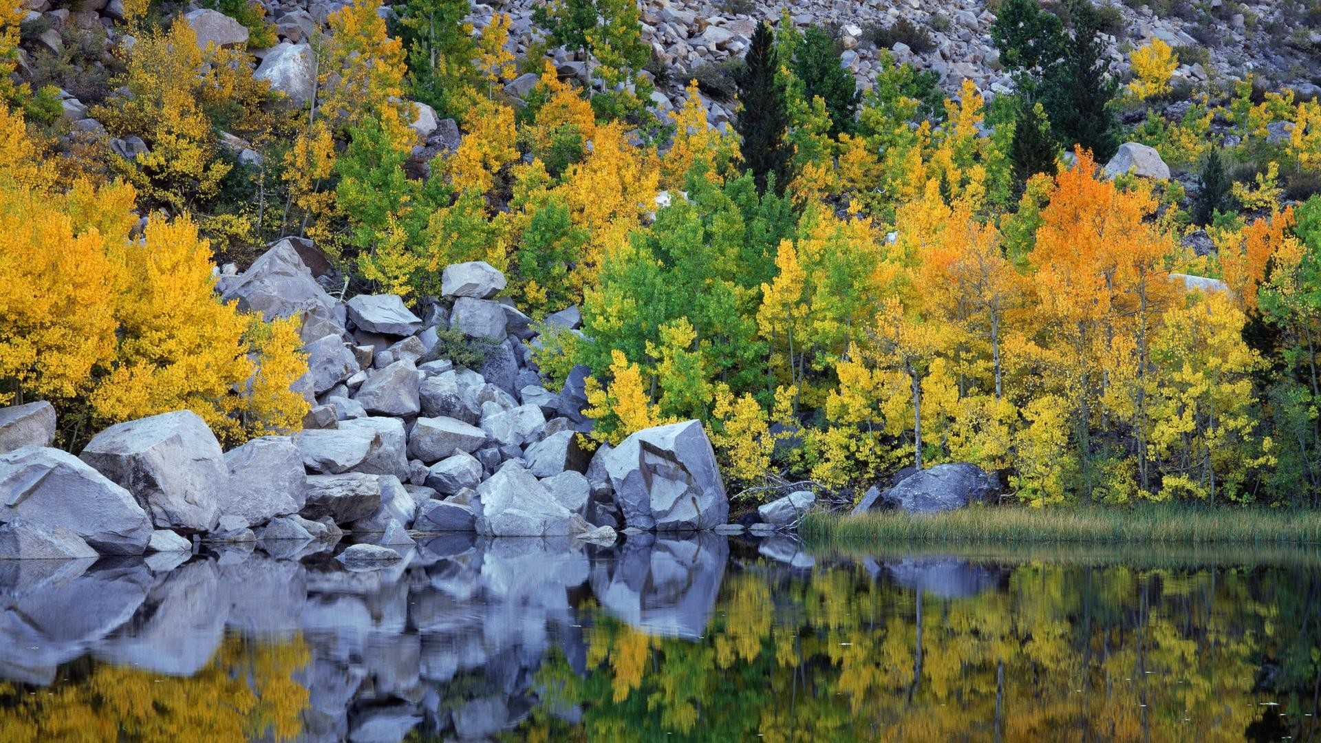 California Autumn Wallpapers - Wallpaper Cave