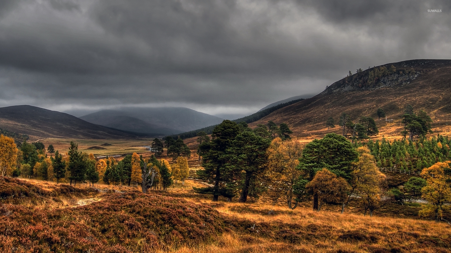 California Autumn Wallpapers - Wallpaper Cave