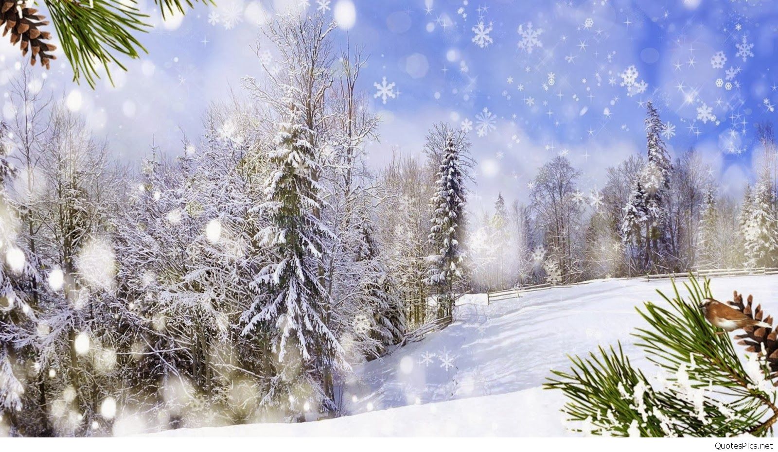 Soft Winter Wallpapers - Wallpaper Cave