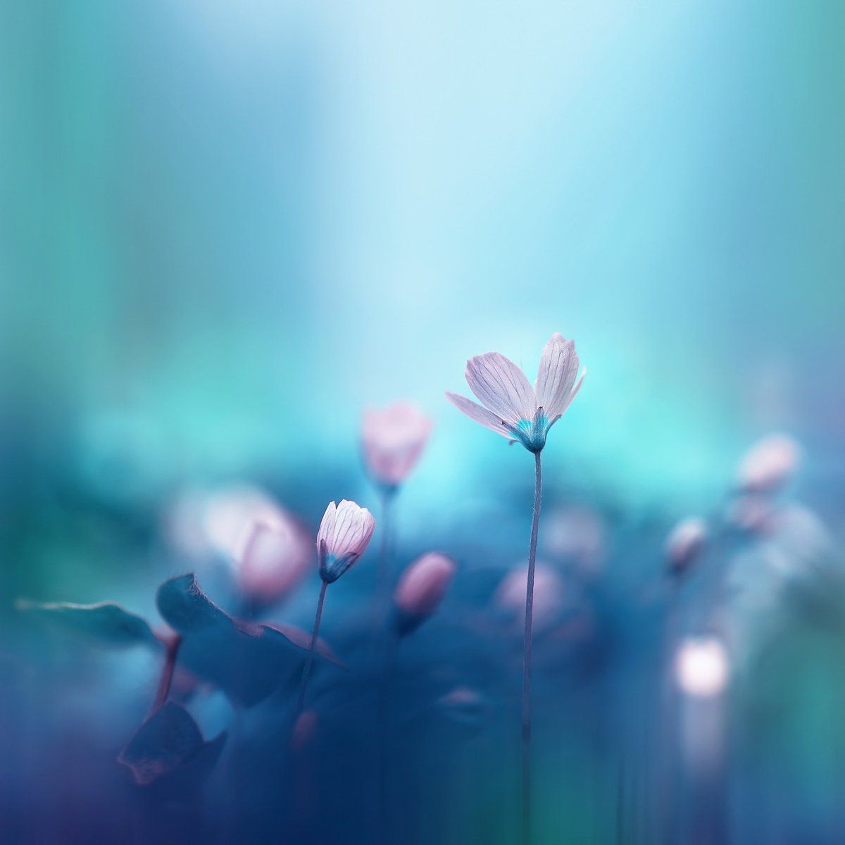 Good Mood Wallpapers - Wallpaper Cave