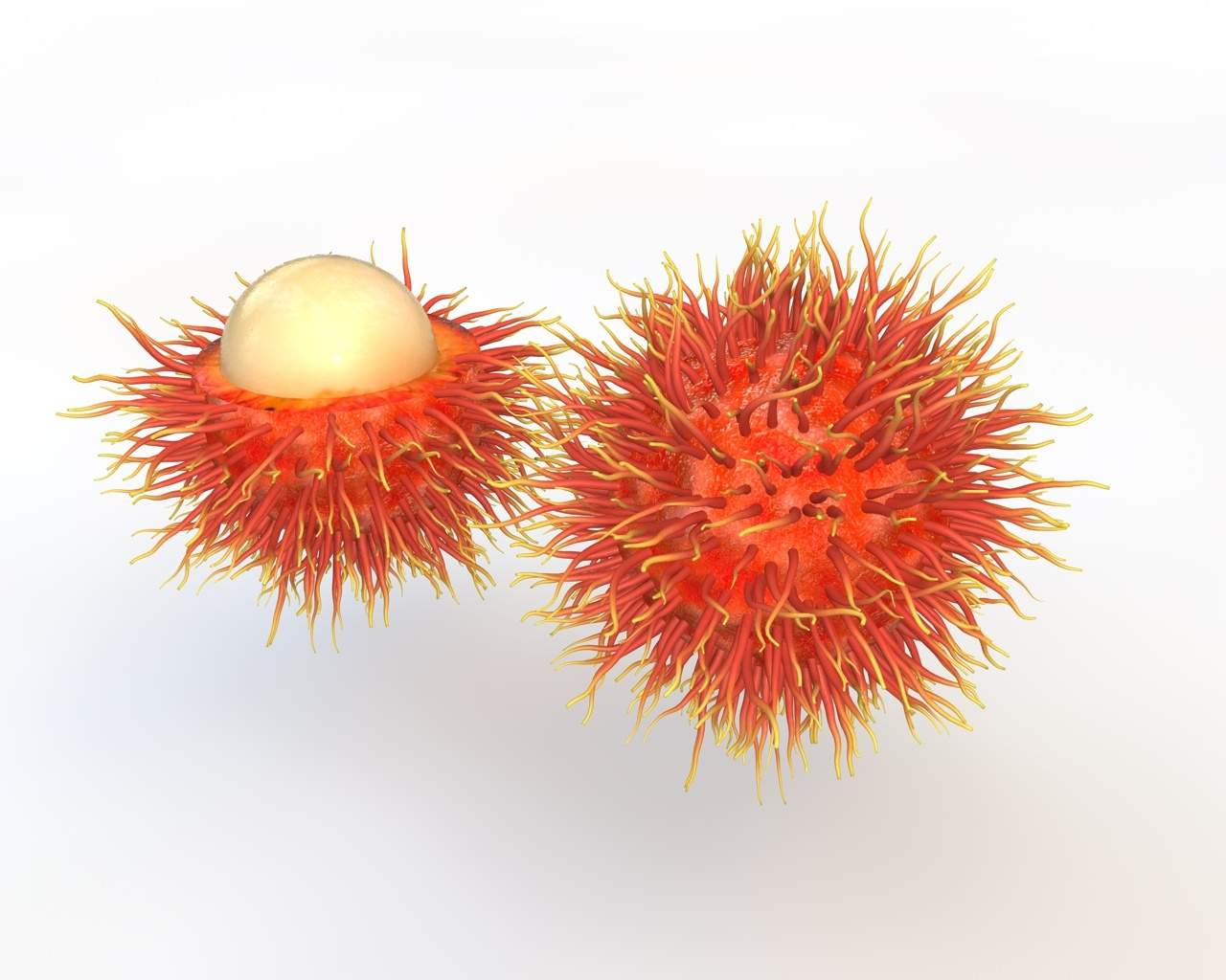 Rambutan Wallpapers - Wallpaper Cave