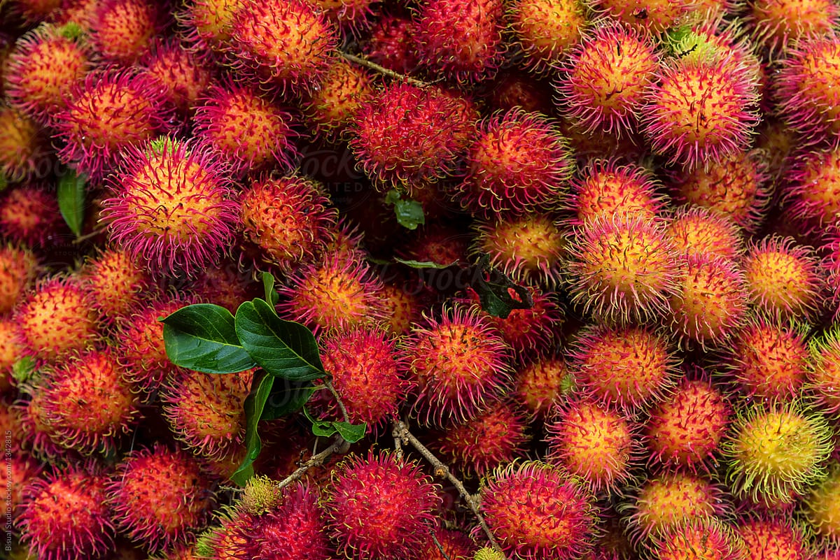 Rambutan Wallpapers - Wallpaper Cave