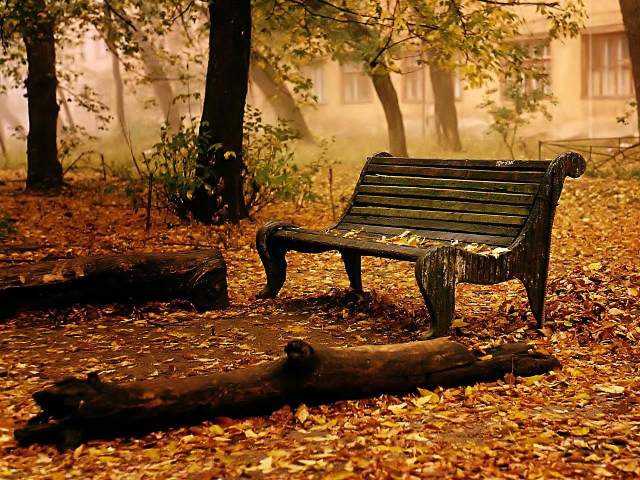 Autumn Benches Wallpapers - Wallpaper Cave