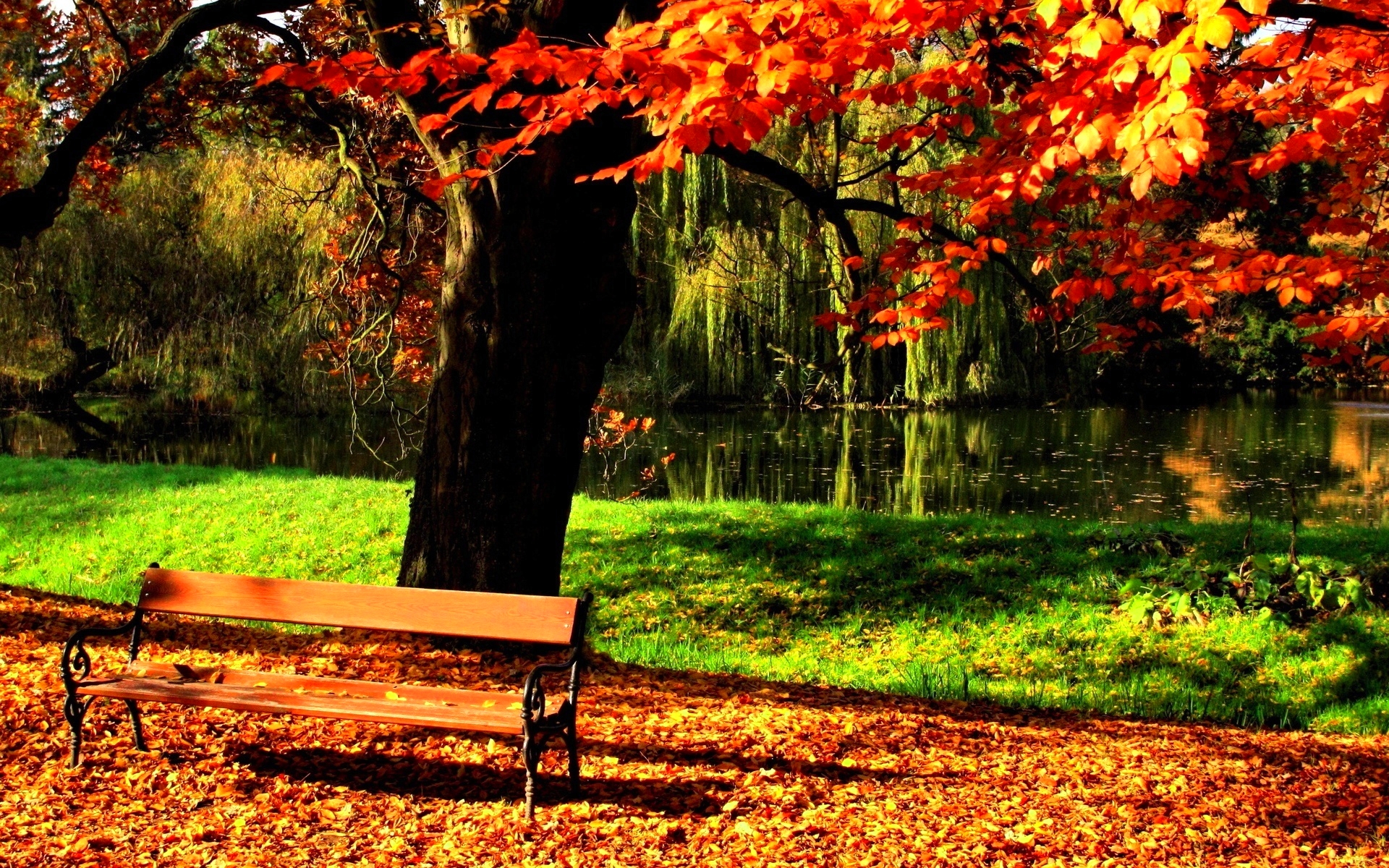 Autumn Benches Wallpapers - Wallpaper Cave