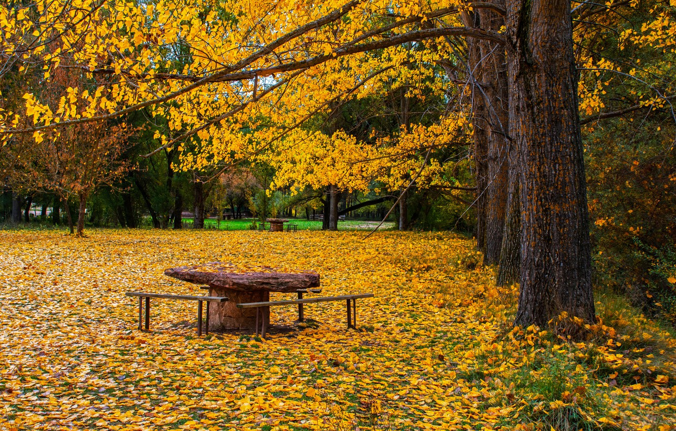 Autumn Benches Wallpapers - Wallpaper Cave