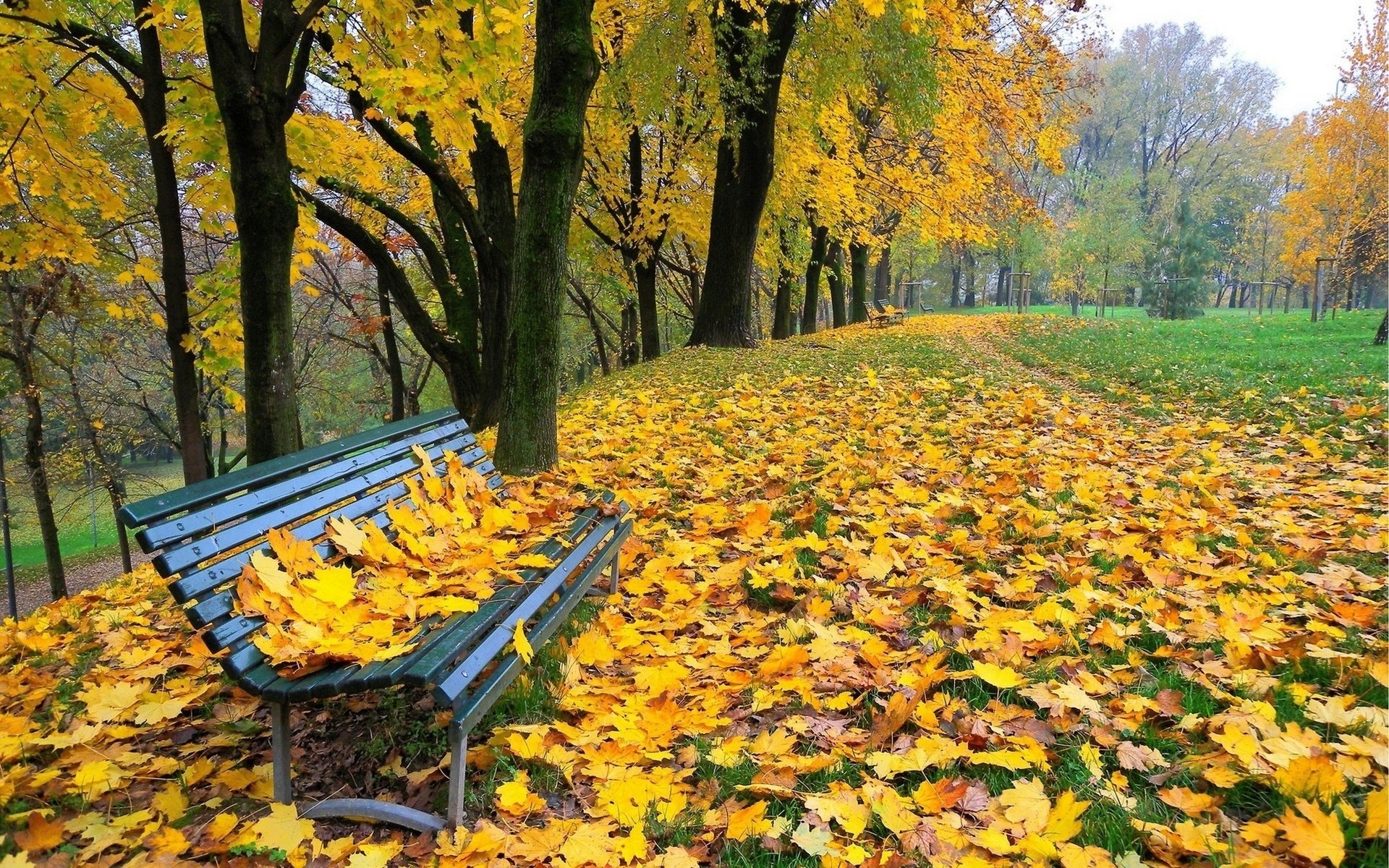 Autumn Benches Wallpapers - Wallpaper Cave