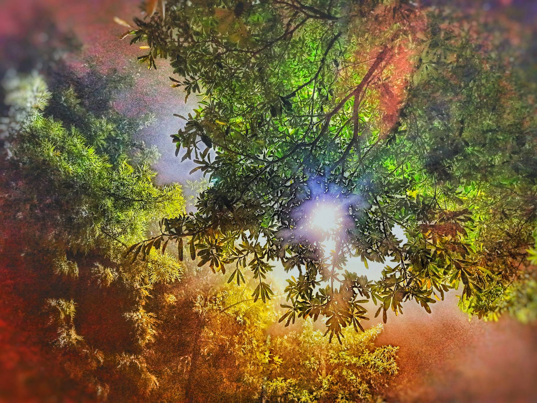 Coloured Fog Wallpapers - Wallpaper Cave