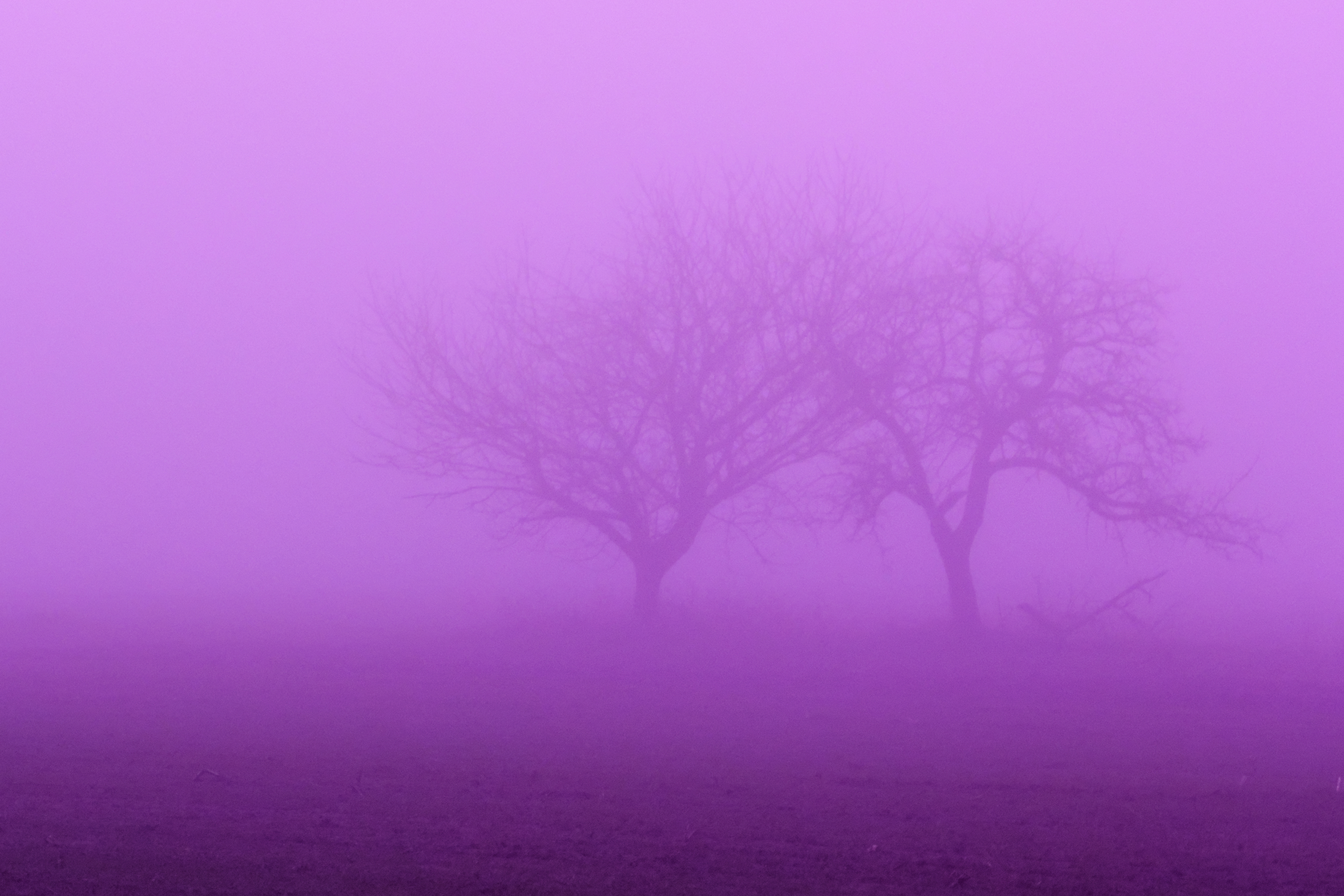 Pink Fog Wallpapers - Wallpaper Cave