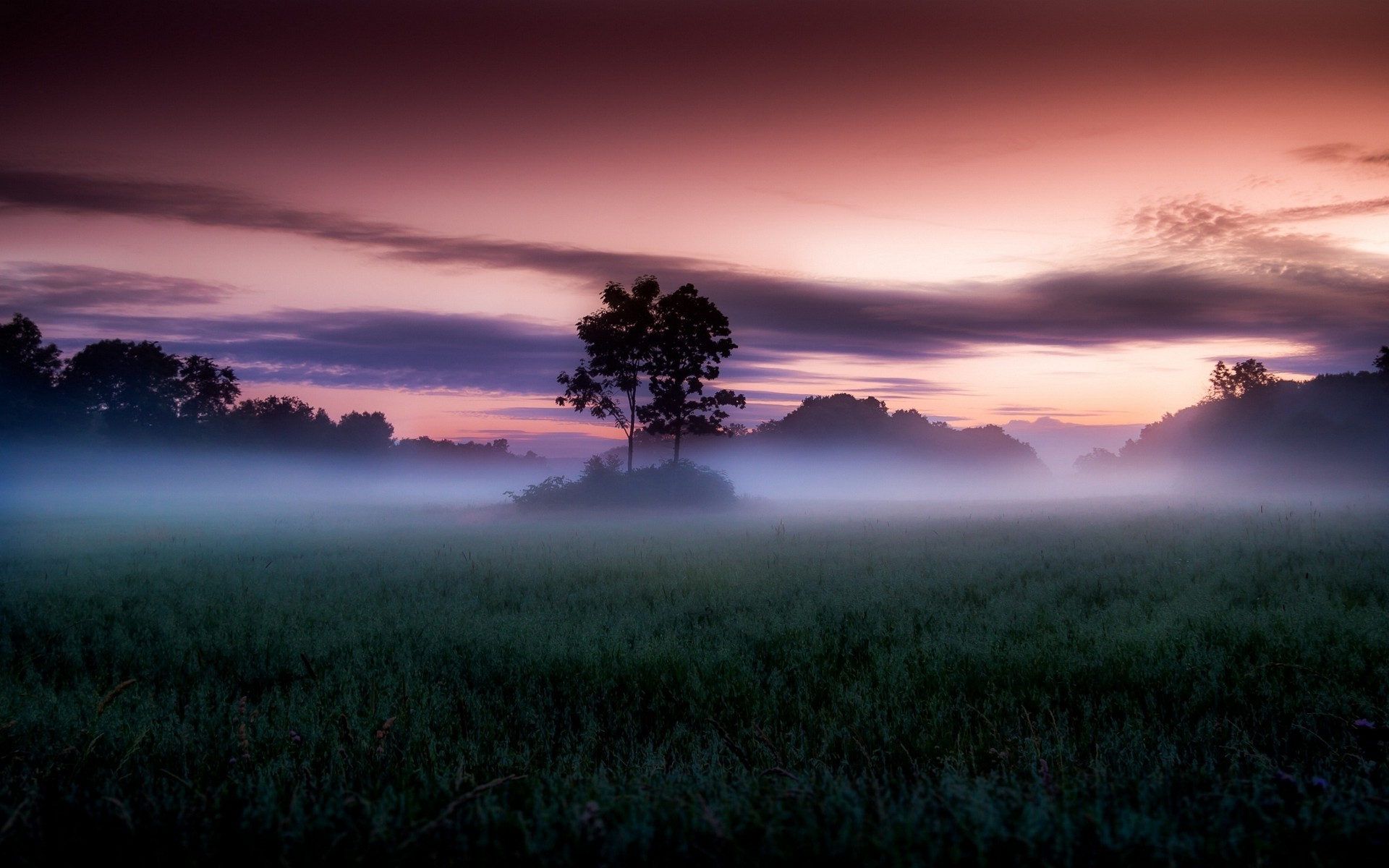 Pink Fog Wallpapers - Wallpaper Cave