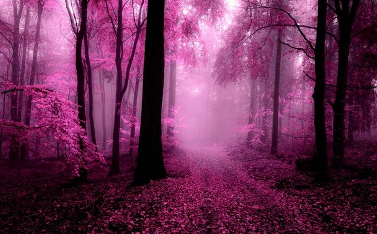 Pink Fog Wallpapers - Wallpaper Cave
