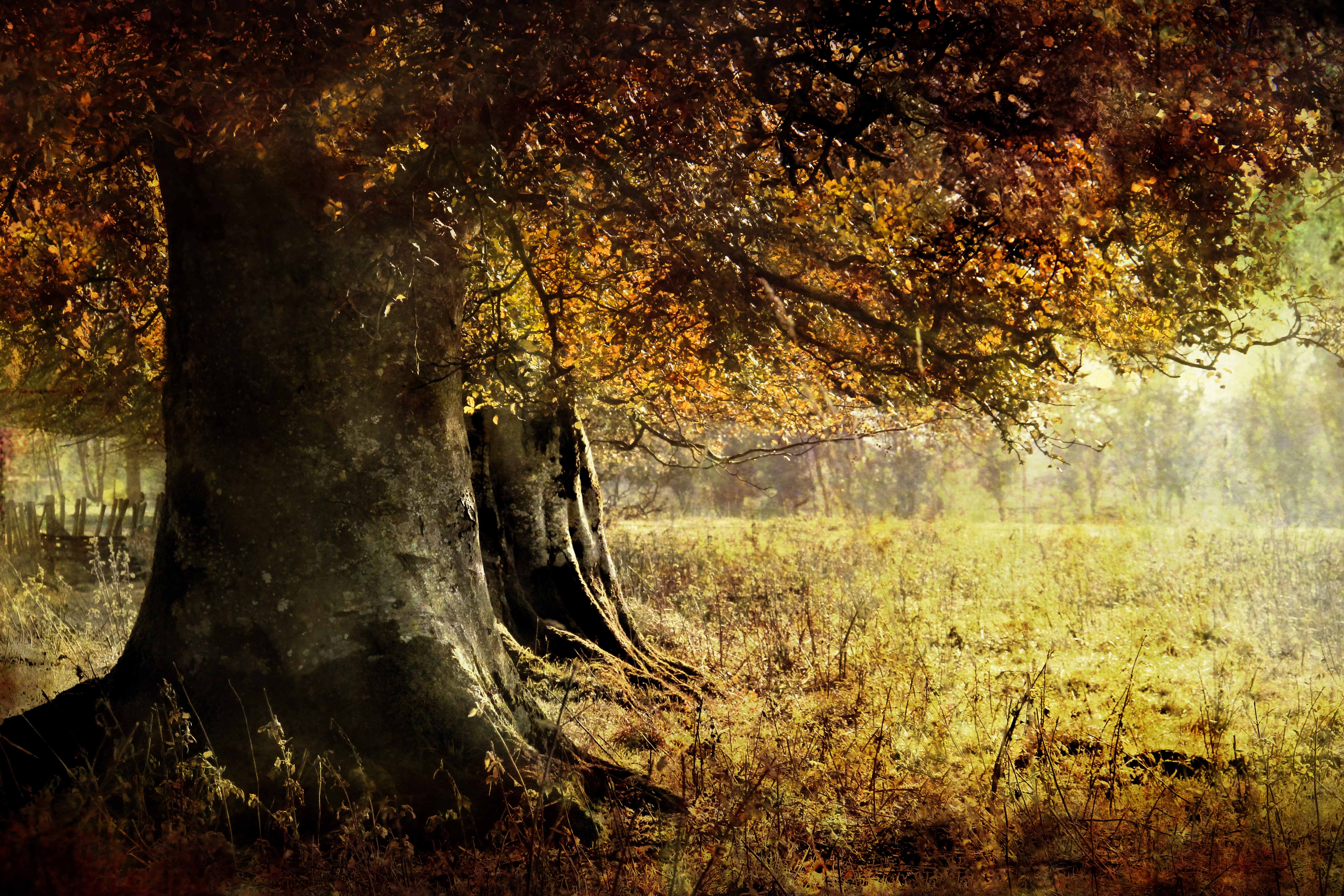 Autumn Journey Wallpapers - Wallpaper Cave
