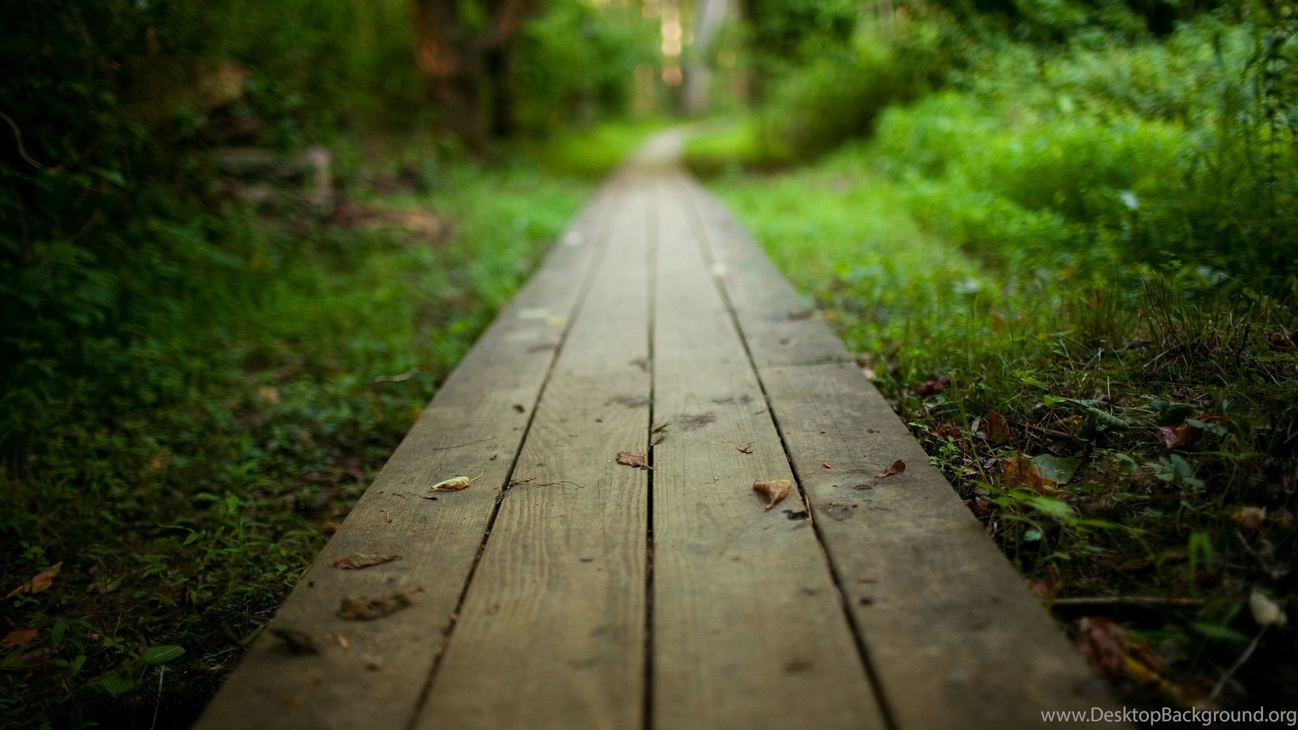 Pakistan Nature Wallpapers - Wallpaper Cave