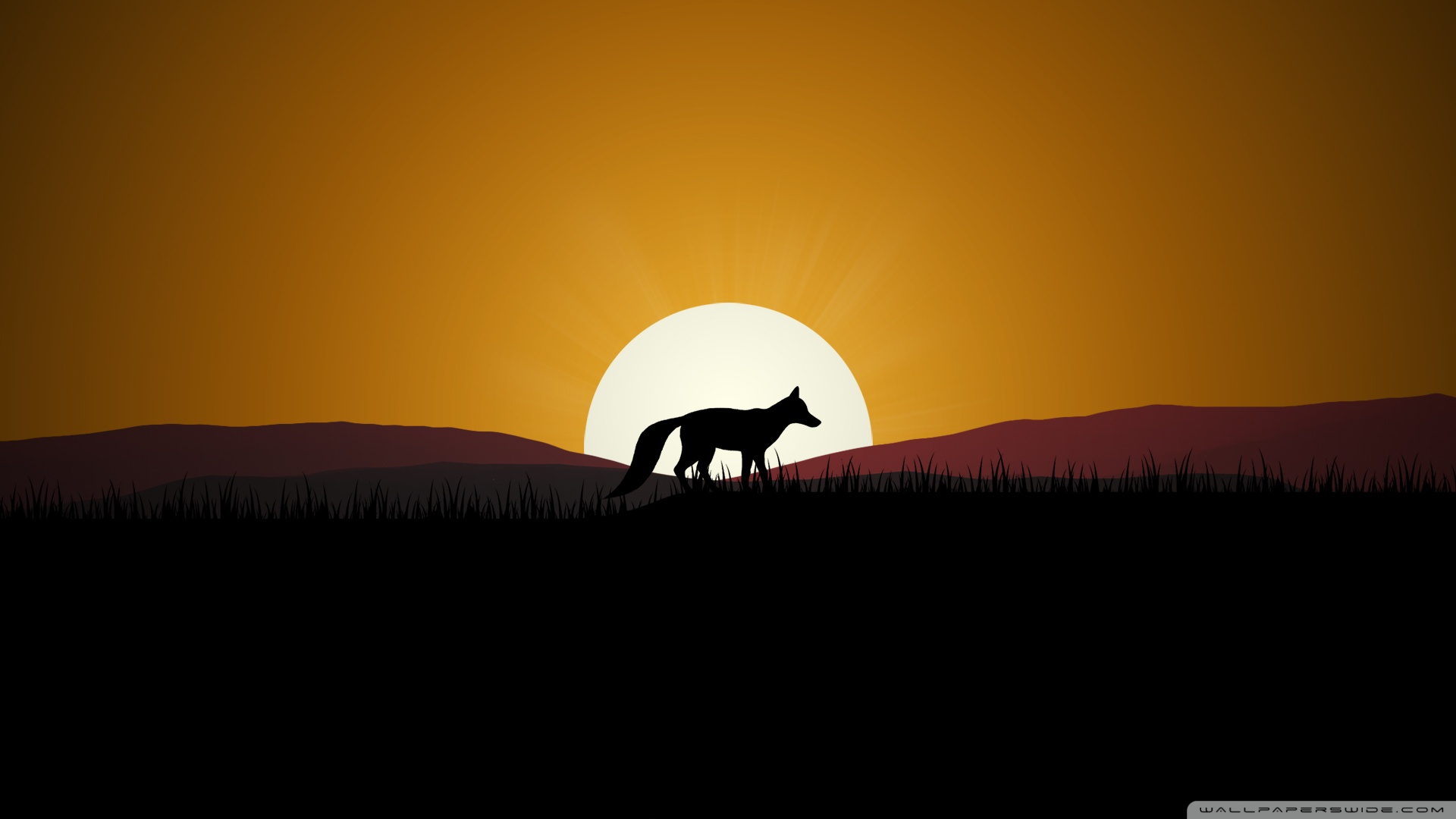 Sunset Foxes Wallpapers - Wallpaper Cave