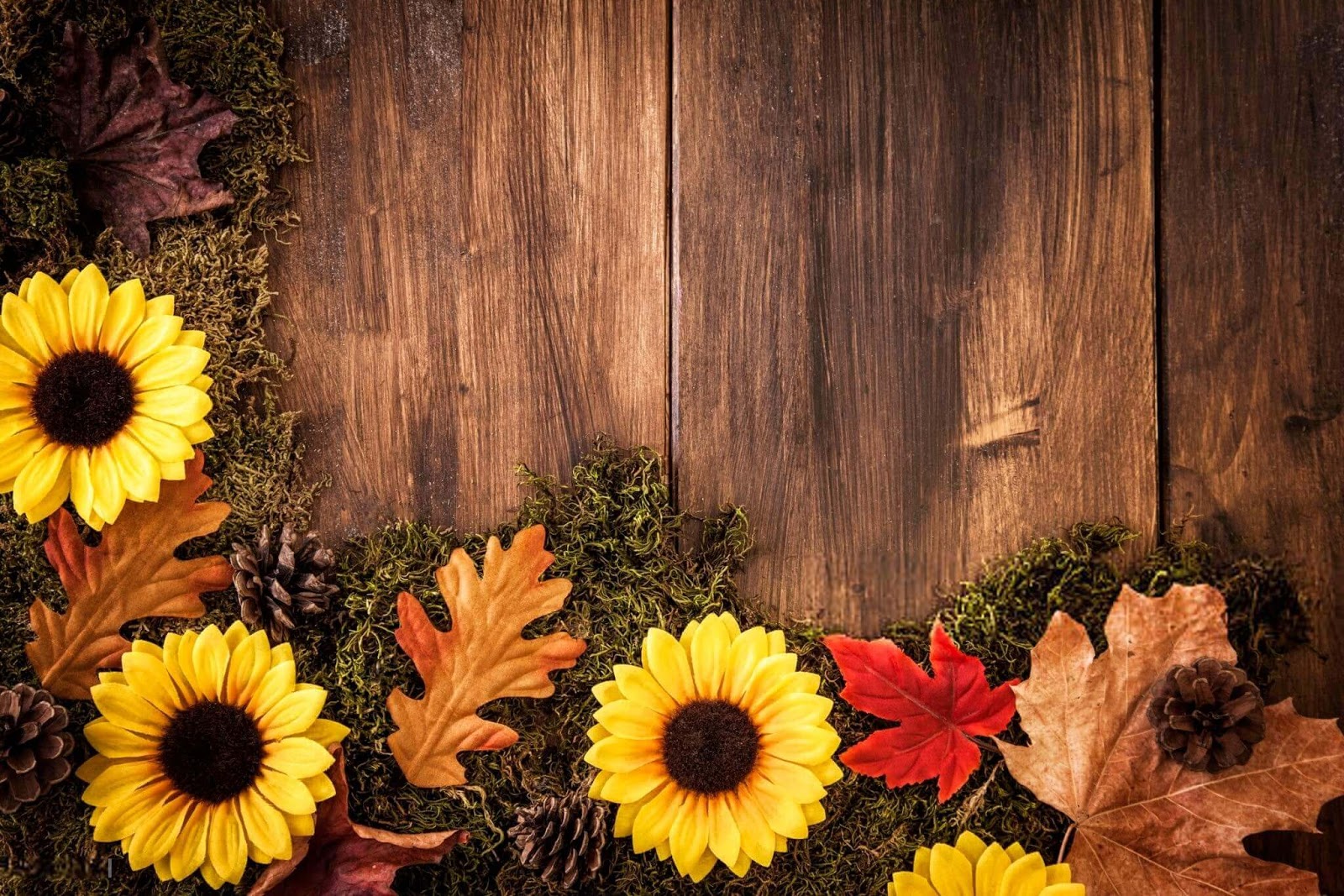 Thanksgiving With Sunflowers Wallpapers - Wallpaper Cave