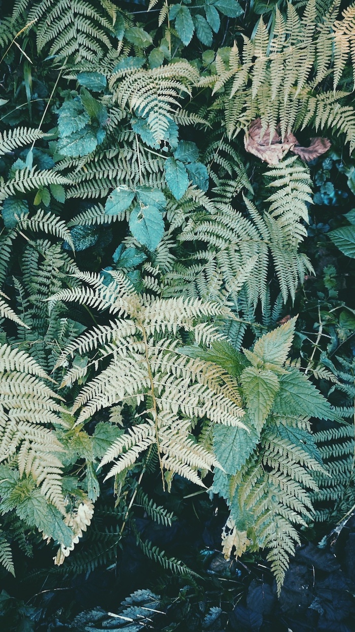 VSCO Girl Spring Wallpapers - Wallpaper Cave