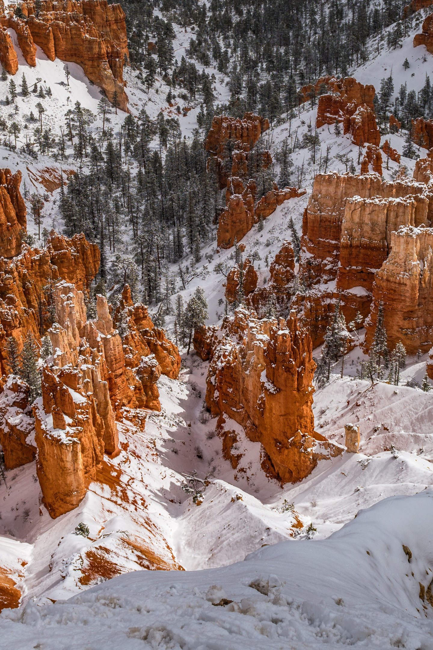 Bryce National Park Winter Wallpapers - Wallpaper Cave
