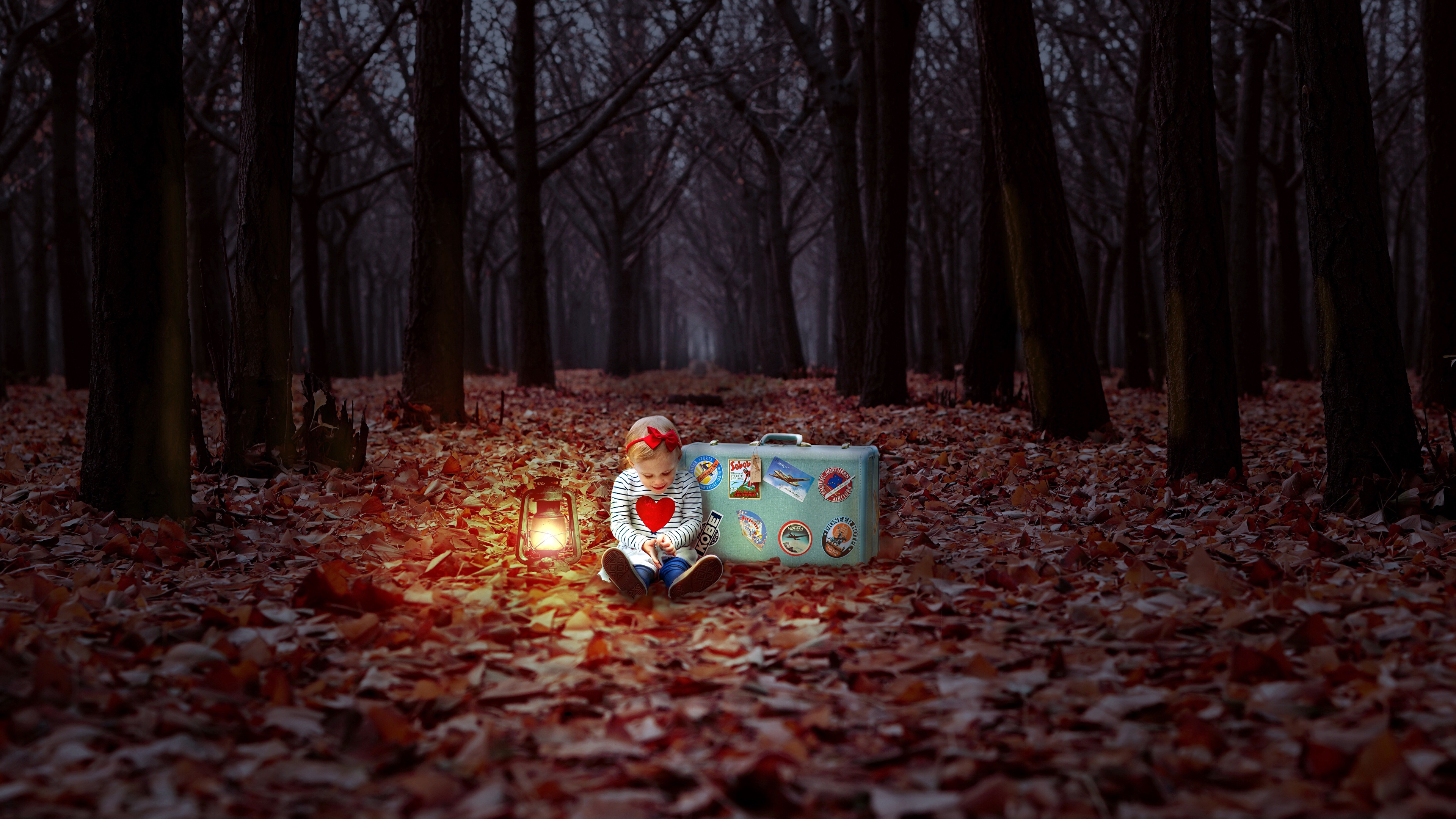 Autumn Forest Night Wallpapers - Wallpaper Cave