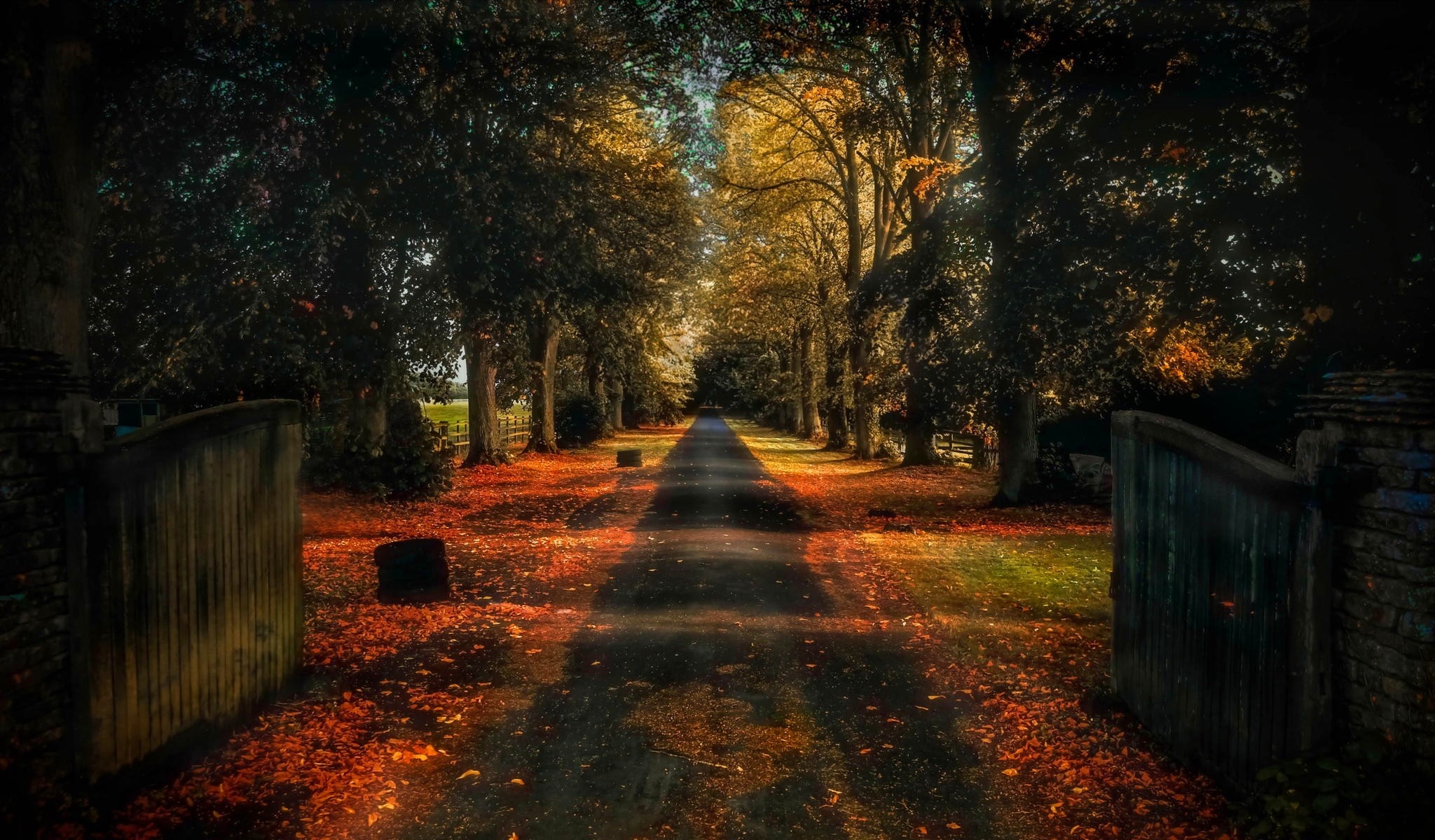 Autumn Forest Night Wallpapers - Wallpaper Cave