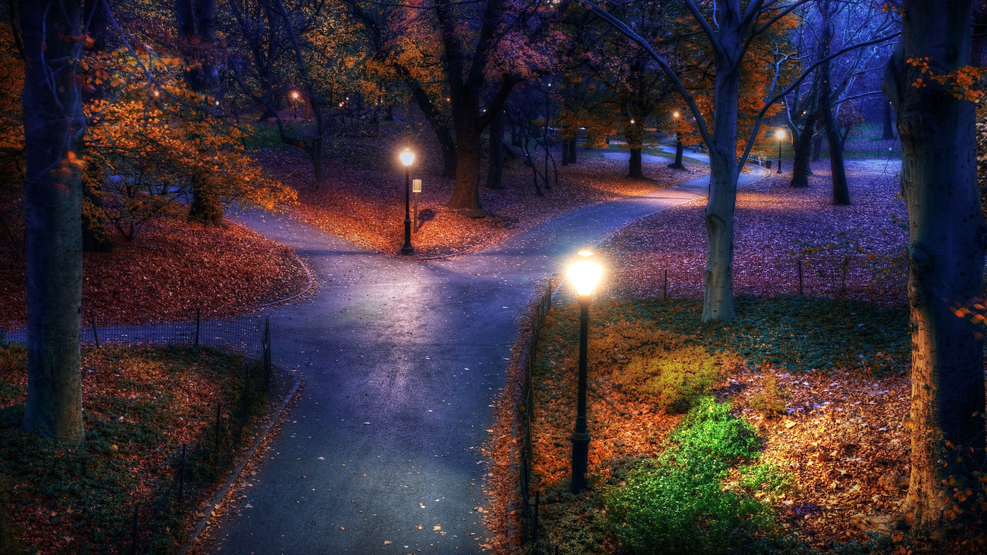 Autumn Forest Night Wallpapers - Wallpaper Cave