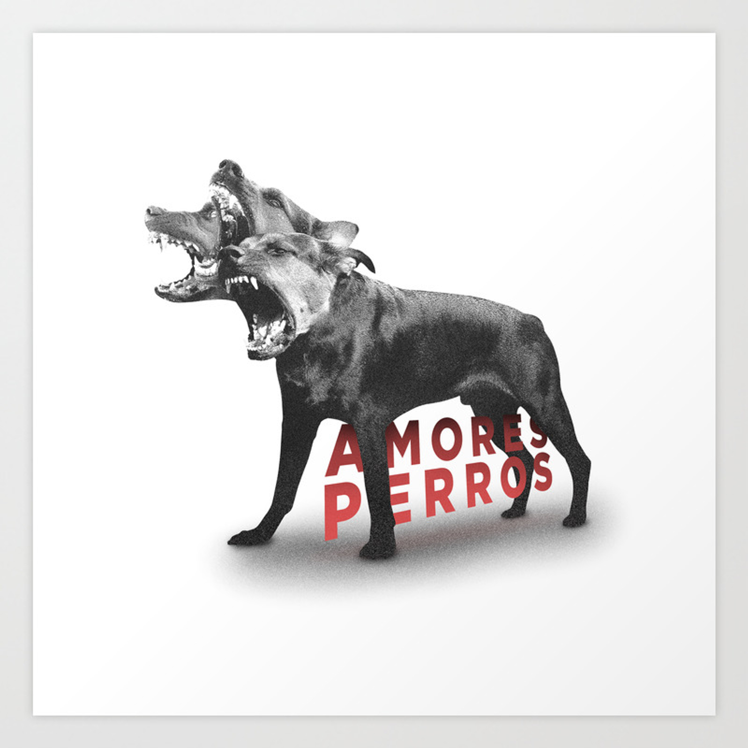 Amores Perros Wallpapers - Wallpaper Cave